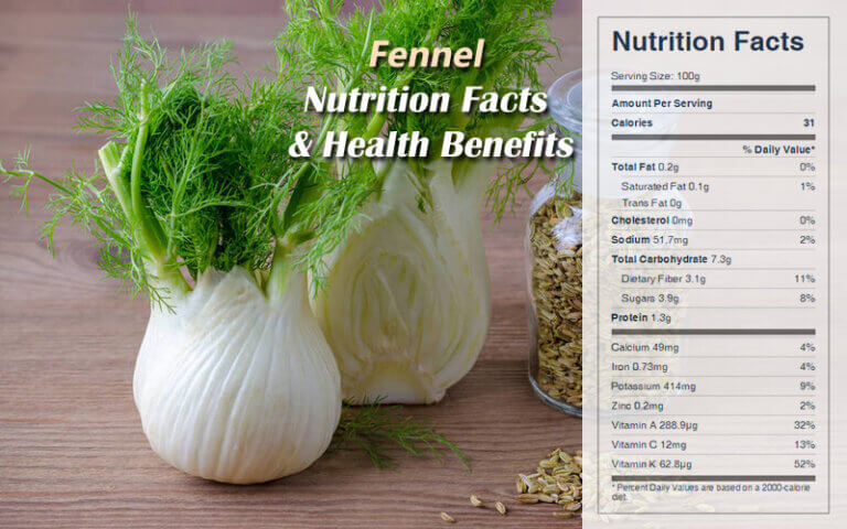 Fennel Nutrition Facts & Health Benefits - CookingEggs