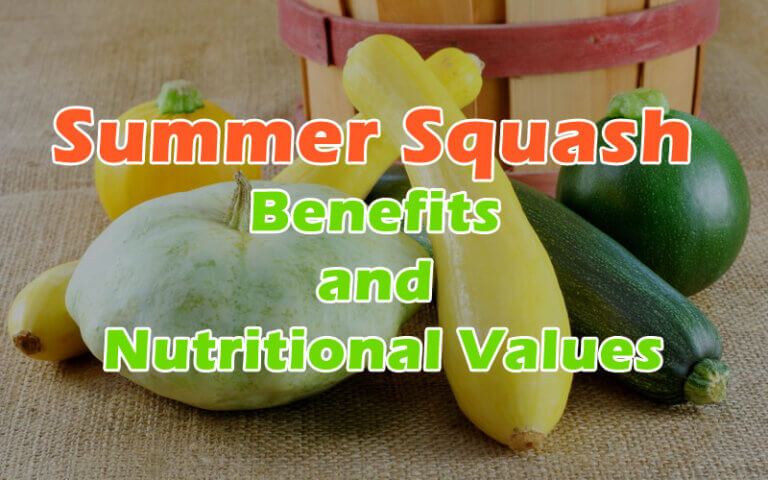 Summer Squash Benefits and Nutritional Values - CookingEggs